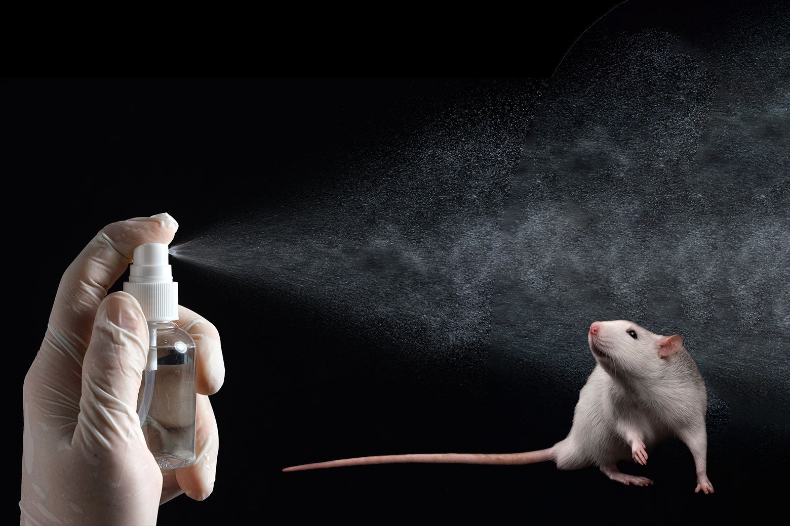 Elon Musk wants to cut down on wasteful science. But that science has a ...