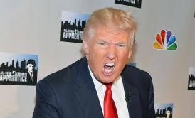 Trump-October Surprise: Donald Trump offers $5 million for release of ...