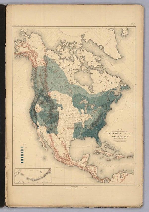History of American Forests: Tree maps made for 1884 census.