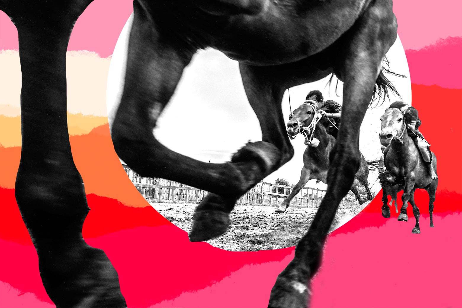 Kids and horse racing: parenting advice from Care and Feeding.