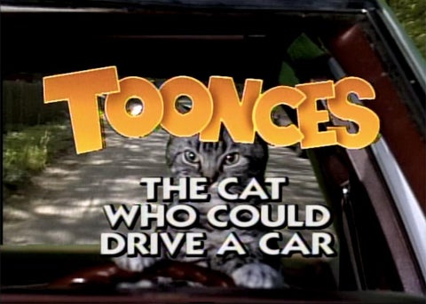 Watch the greatest streamable Toonces sketches.