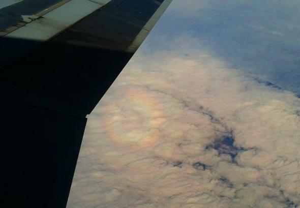 Glory: Circular rainbow from an airplane window.