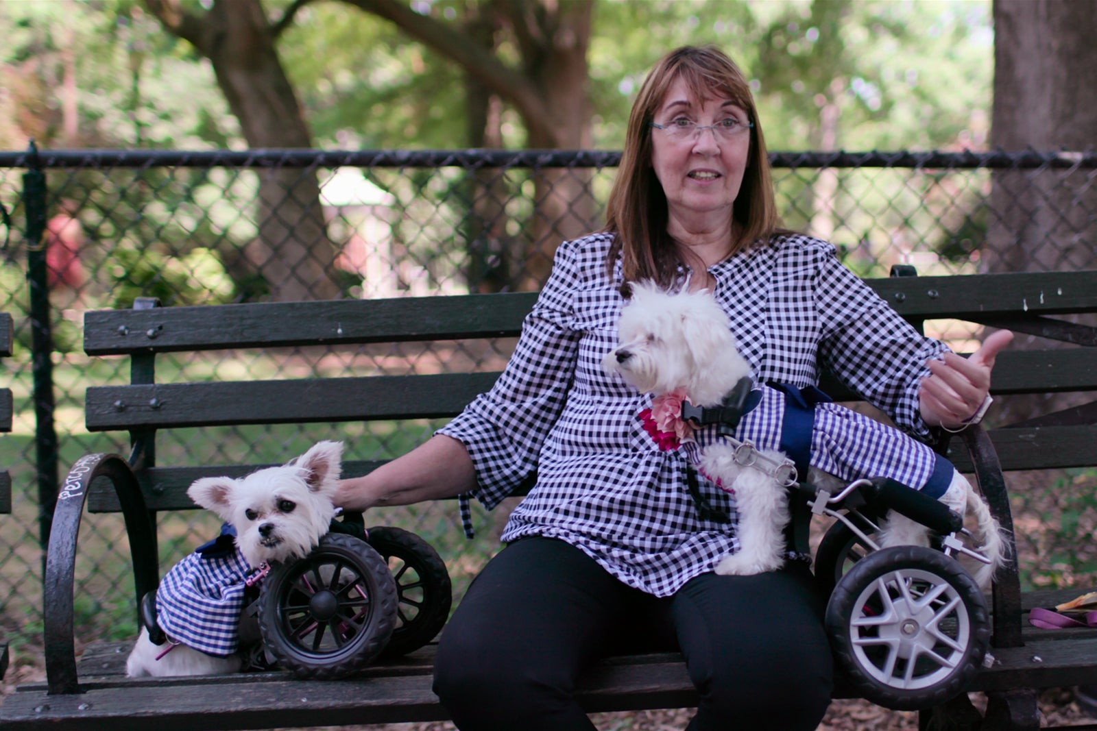 Netflix’s Dogs, reviewed.