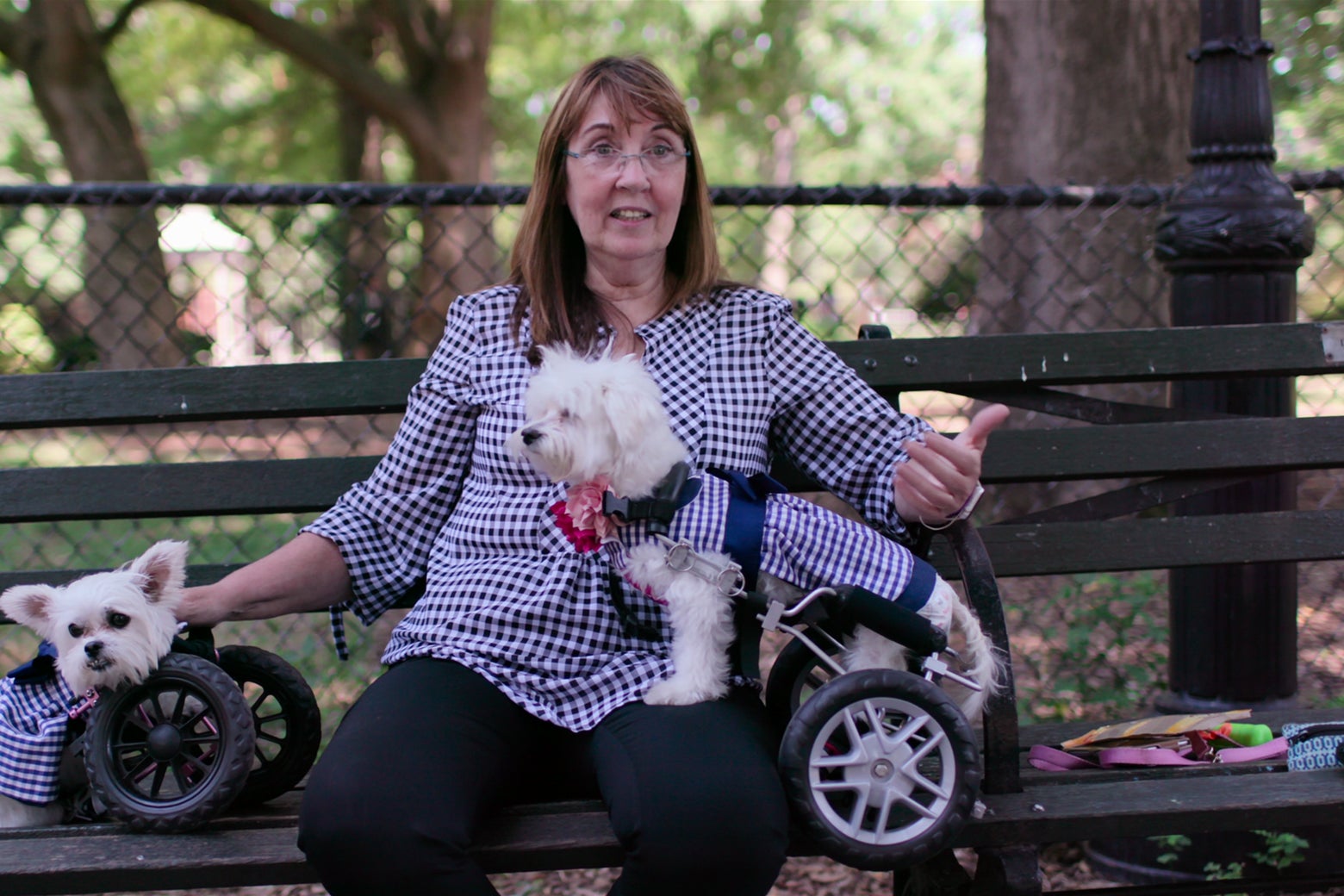 Netflix’s Dogs, reviewed.