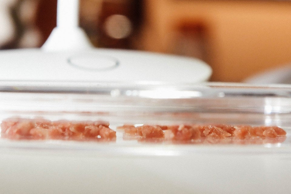 The problem with lab-grown meat.