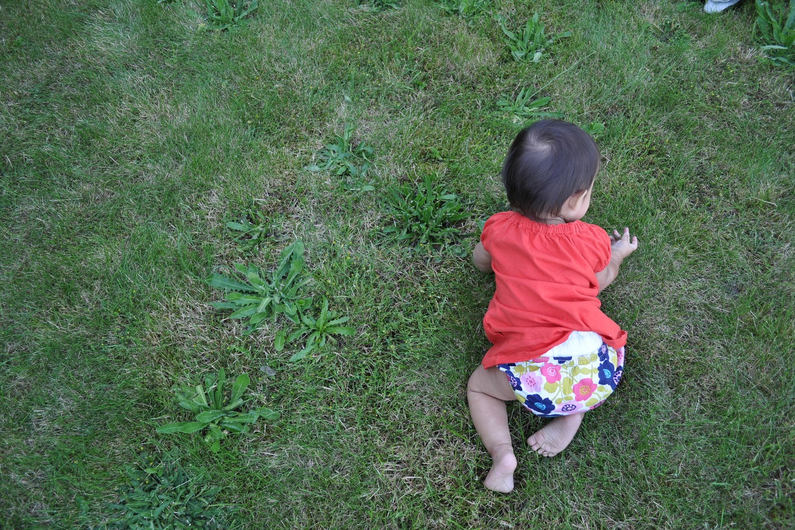 How old should babies be when they crawl? Here's why we don't really know!