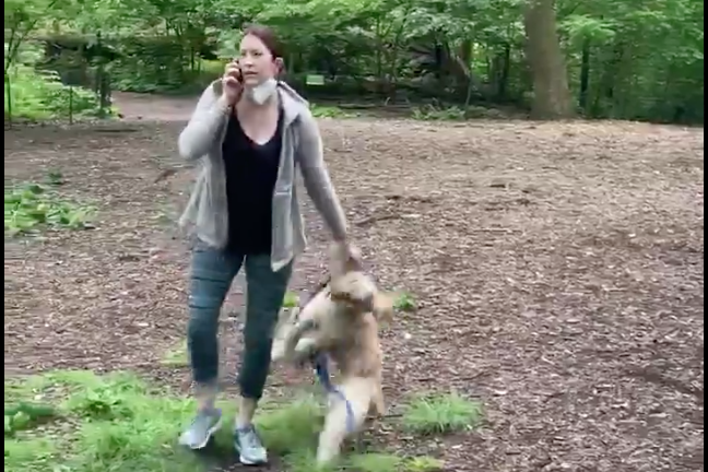 Why Amy Cooper felt the police were her personal “protection agency.”