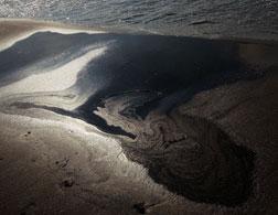 An Explainer roundup on the BP disaster.