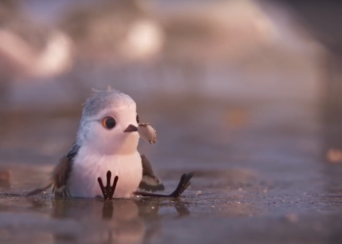 Watch a clip of Pixar's animated short Piper (VIDEO).