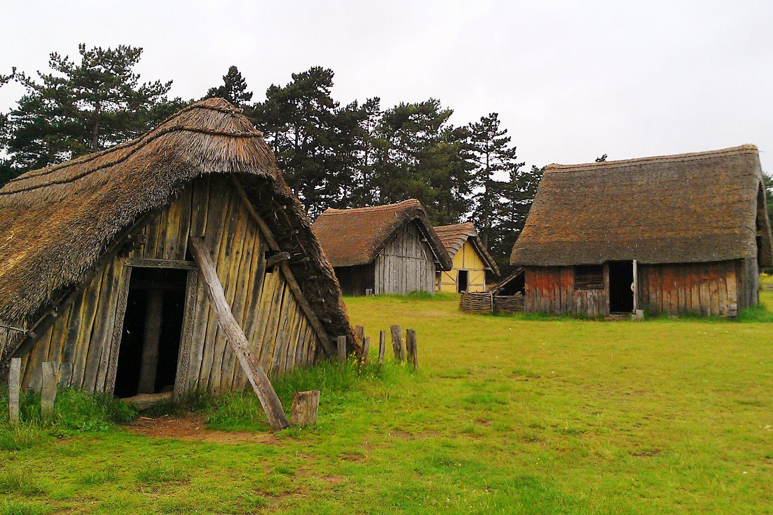 Marjorie Taylor Greene's Anglo-Saxon America First Caucus ideas ...