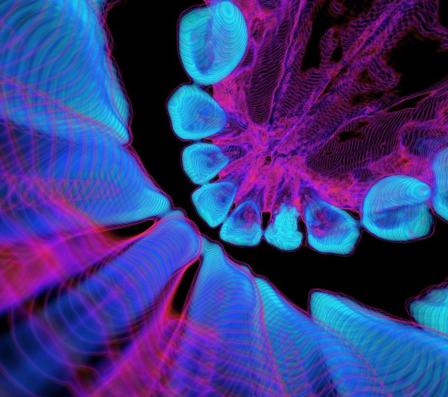 Dr. Kai-hung Fung: Using CT scans of the human body to create fine art ...