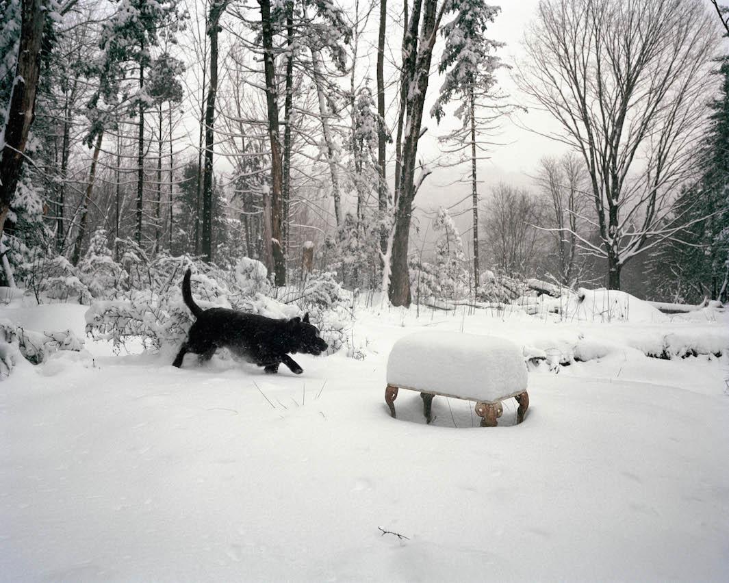 Anna Beeke photographs the Forest Universal in her book, Sylvania.