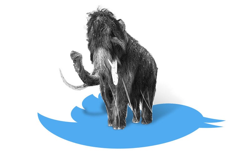 Mastodon: What you need to know about the new social network competing ...