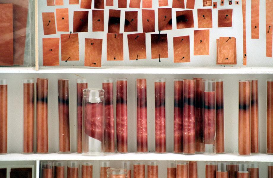 Michael Mapes: Breaking down photography one image at a time.