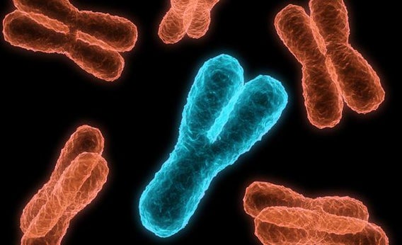 Human genetic origins: Albert Perry’s DNA testing finds older human Adam.