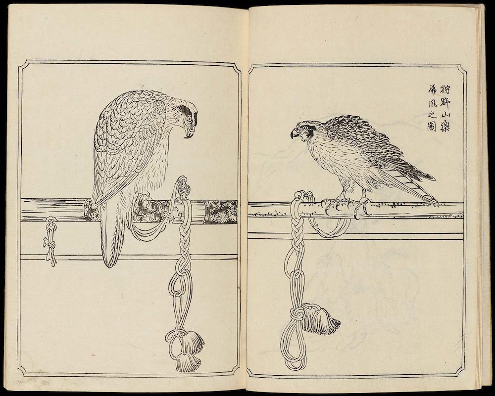 History of falconry in Japan: Woodcuts from the 19th century.