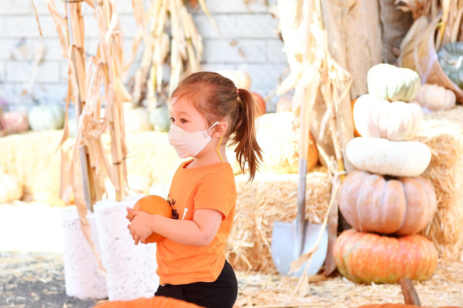 Open Discussion: Halloween during COVID-19