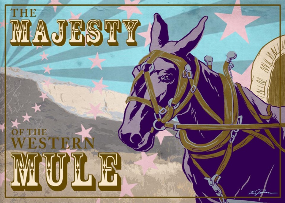 The Oregon Trail, reviewed: Rinker Buck history book about covered ...