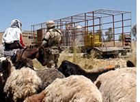 Did Iraq really have weapons of mass destruction?