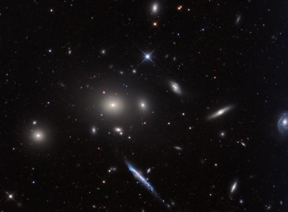 Leo Cluster: A buzzing hive of galaxies.