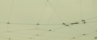 Enemy movie ending explained? The meaning of the Jake Gyllenhaal and ...