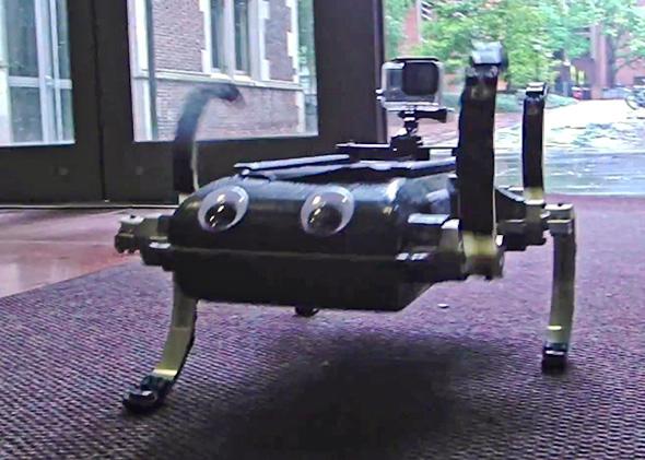 FlipperBot, RHex: Military robots get adorable—and creepy.