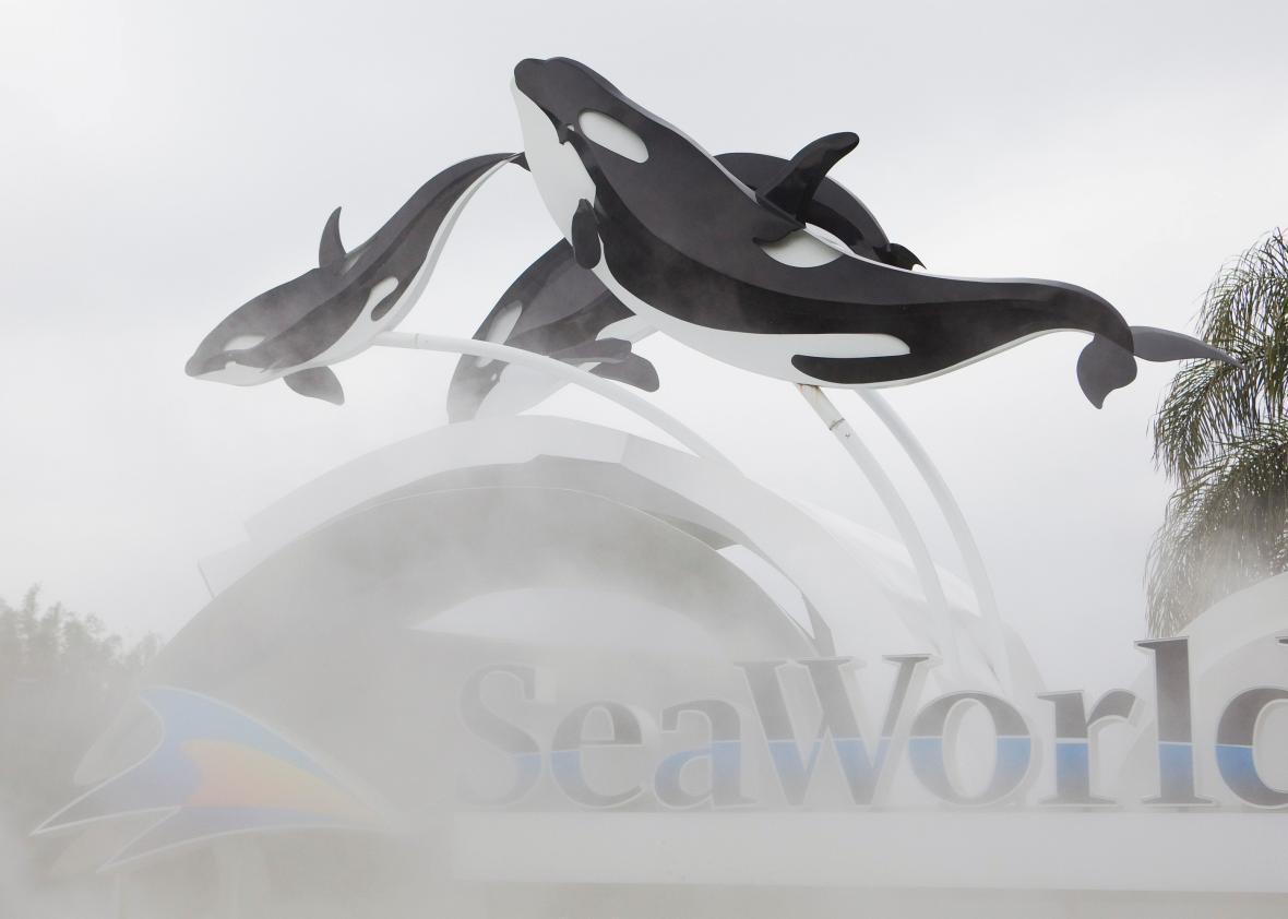 SeaWorld isn't really ending its killer whale show.