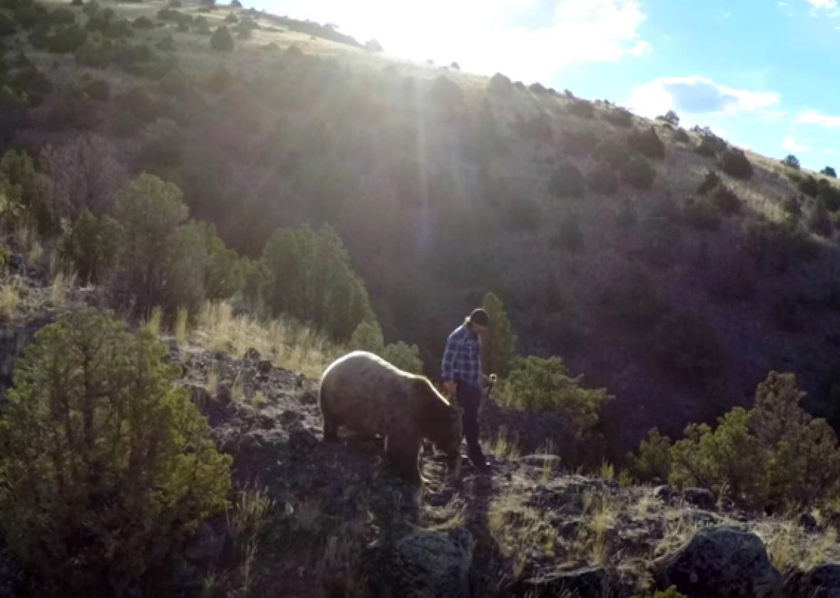Grizzly-bear expert Casey Anderson explains why grizzlies should be ...