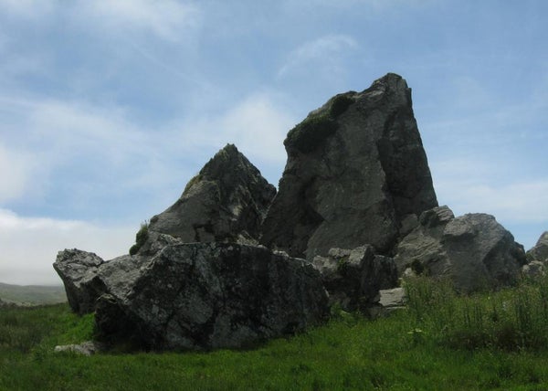 Mammoth rubbing rocks: Columbian mammoths May have used these massive ...