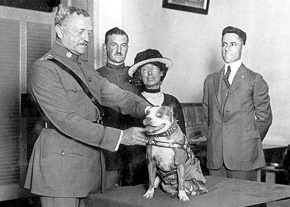Dogs of war: Sergeant Stubby, the U.S. Army’s original and still most ...