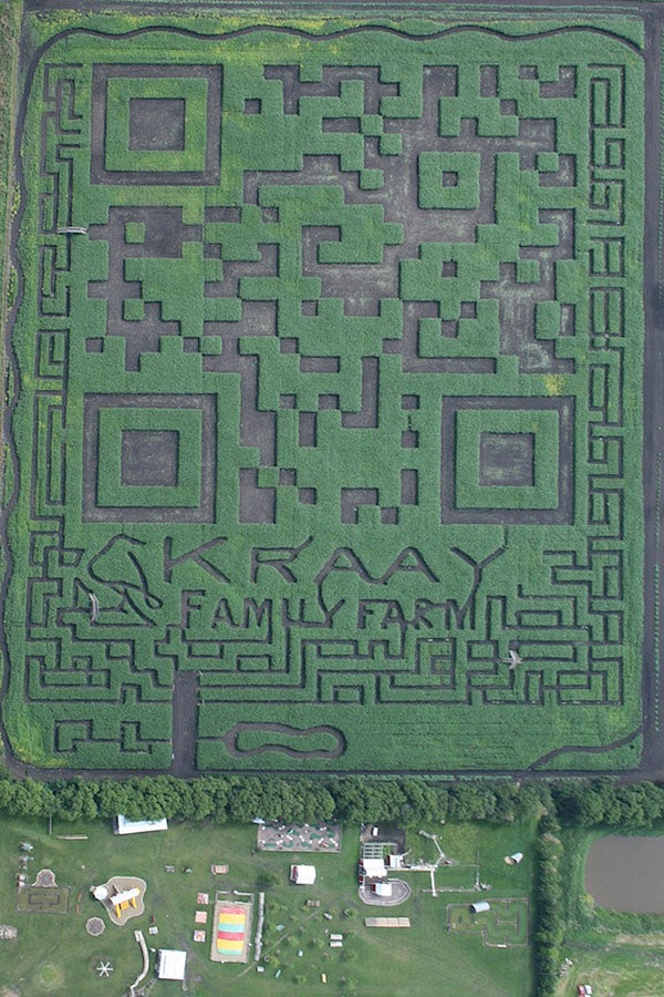 Reba McEntire corn maze: Designer from MAiZE explains how corn mazes ...