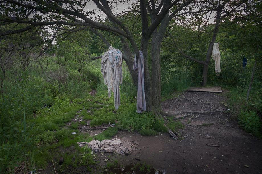 Liminal spaces: Photographs of areas where city meets nature.