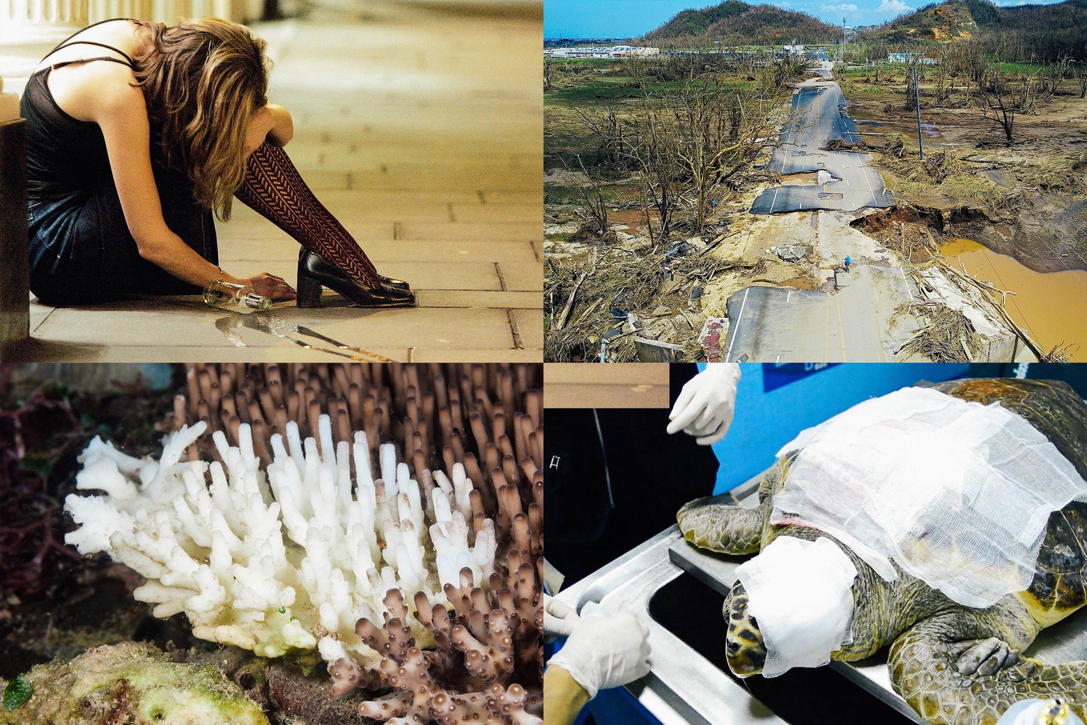 The top 10 science papers of 2018 are an apocalyptic nightmare.