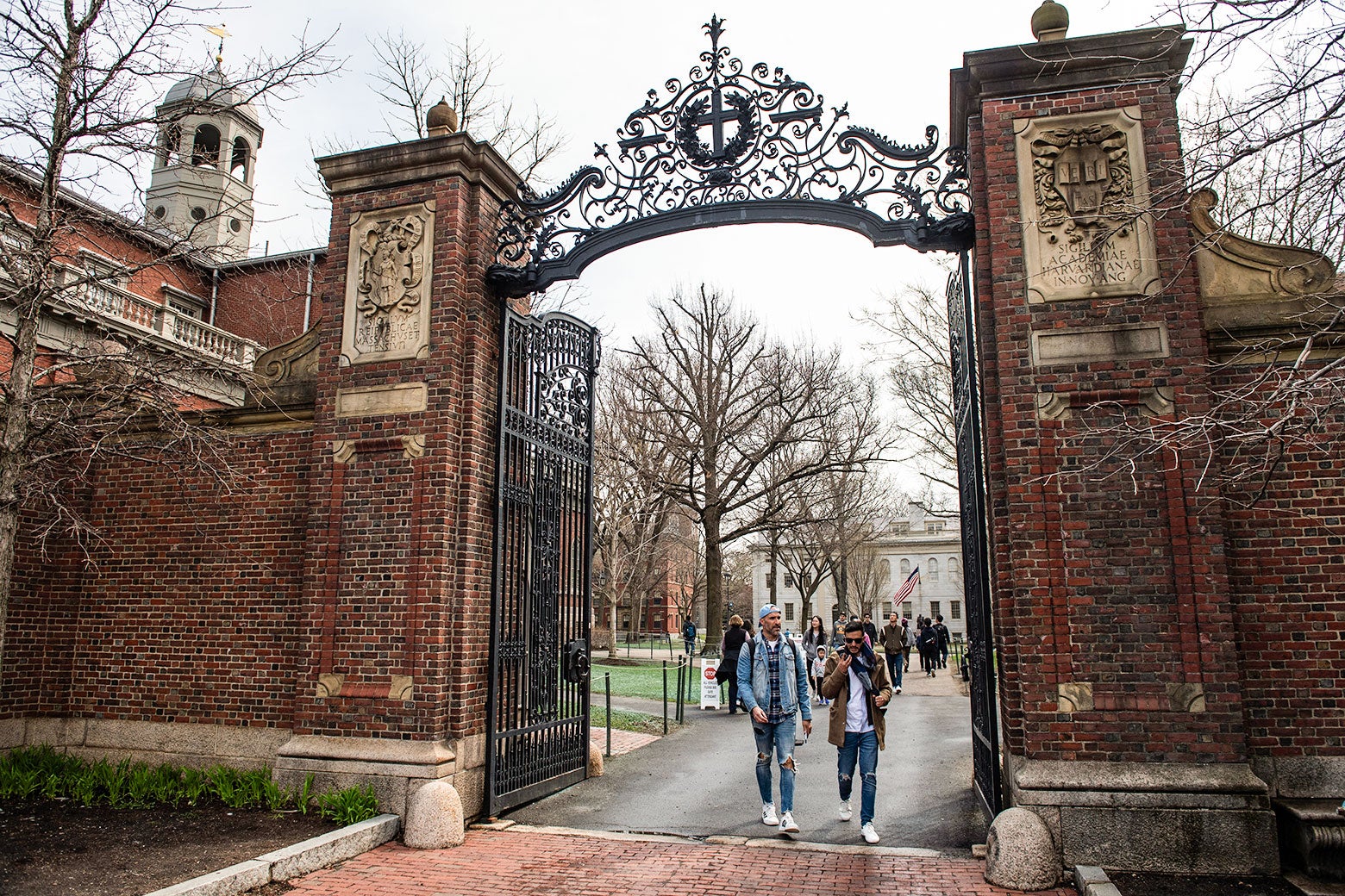 Free gay male tube kylie is an alluring girl and offers