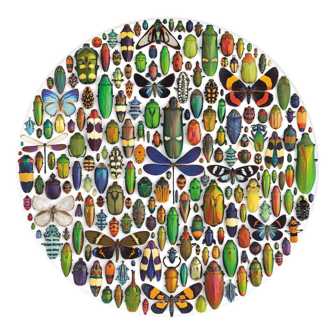 Christopher Marley photographs the natural world in his book, Biophilia.